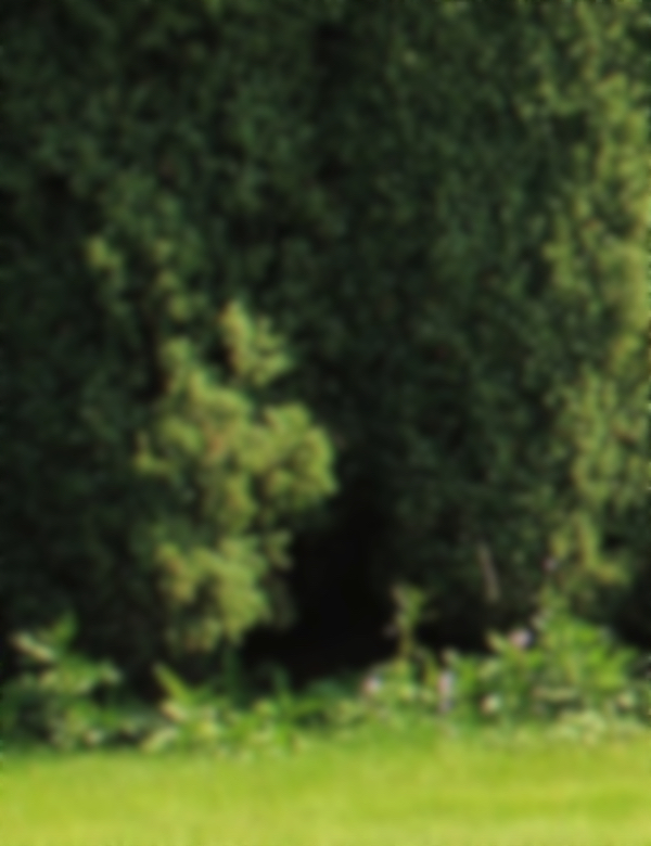 Kontakt oss - Gundersen Galvano AS